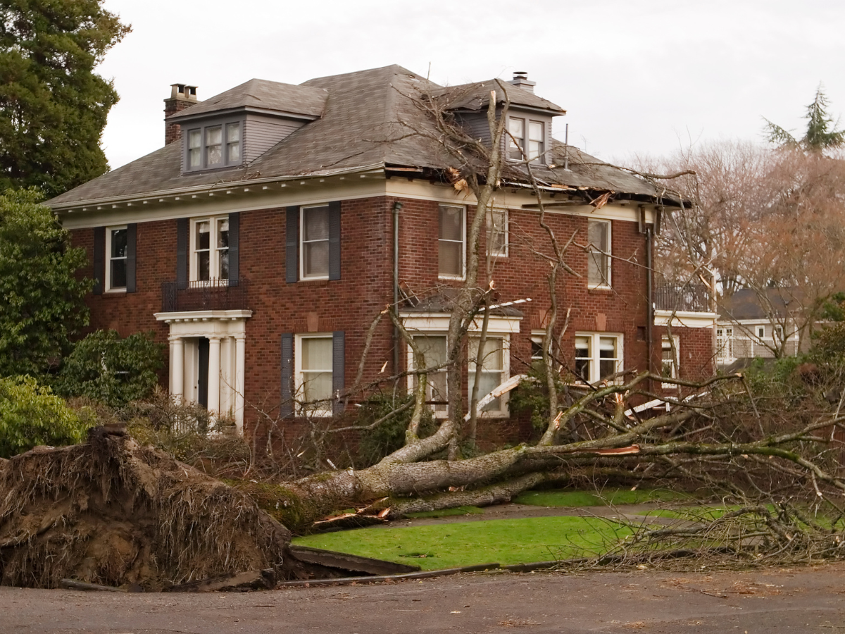 Damage to Real Property and Tort Law